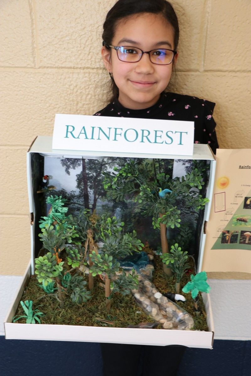 Fostertown 5th Graders Become "Experts" on Ecosystems- News - NECSD